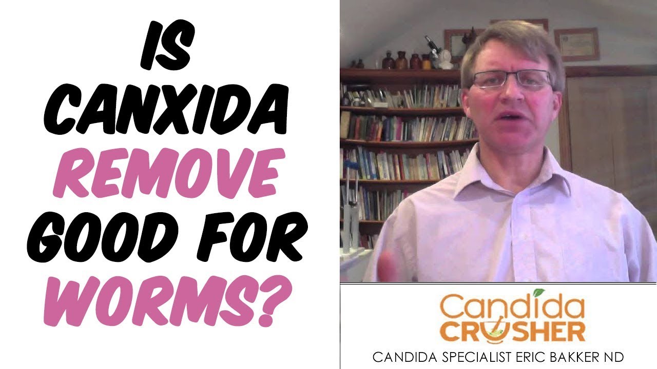 Gastrointestinal Worms: What Is The Impact Of CanXida Remove ...