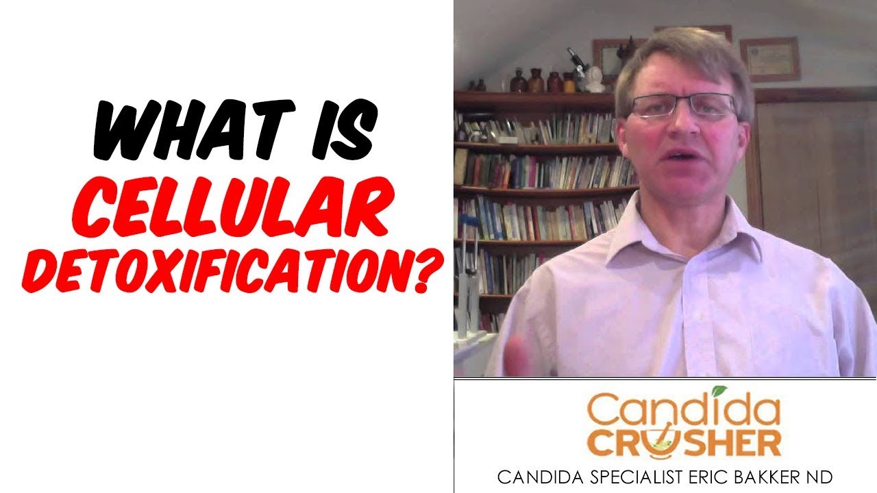 Cellular Detoxification Made Easy - YeastInfection.Org - Your Source ...