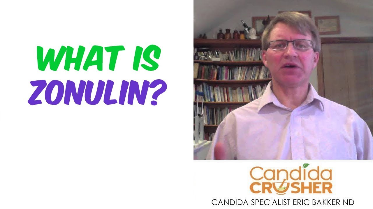 Zonulin: What It Is And Why It Matters - YeastInfection.Org - Your ...