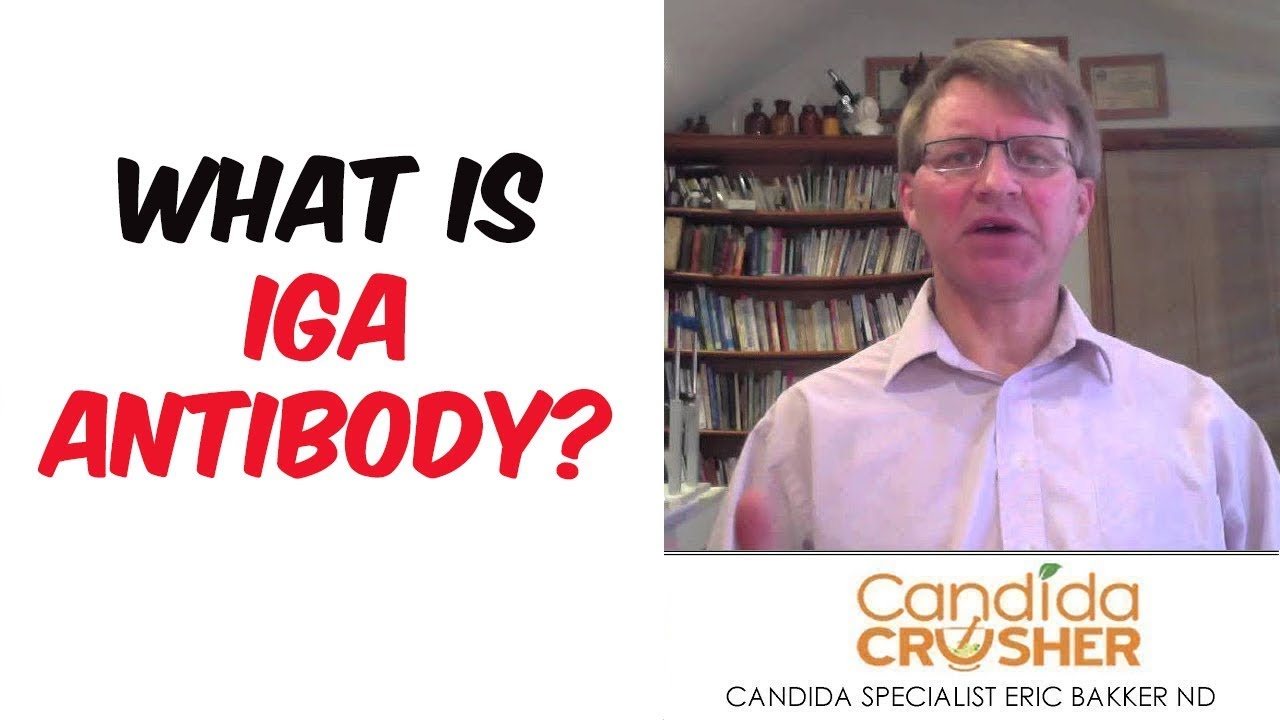 IgA Antibodies: What You Need to Know - YeastInfection.Org - Your ...