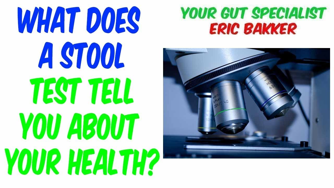 Using A Stool Test To Measure Gut Health - YeastInfection.Org - Your ...