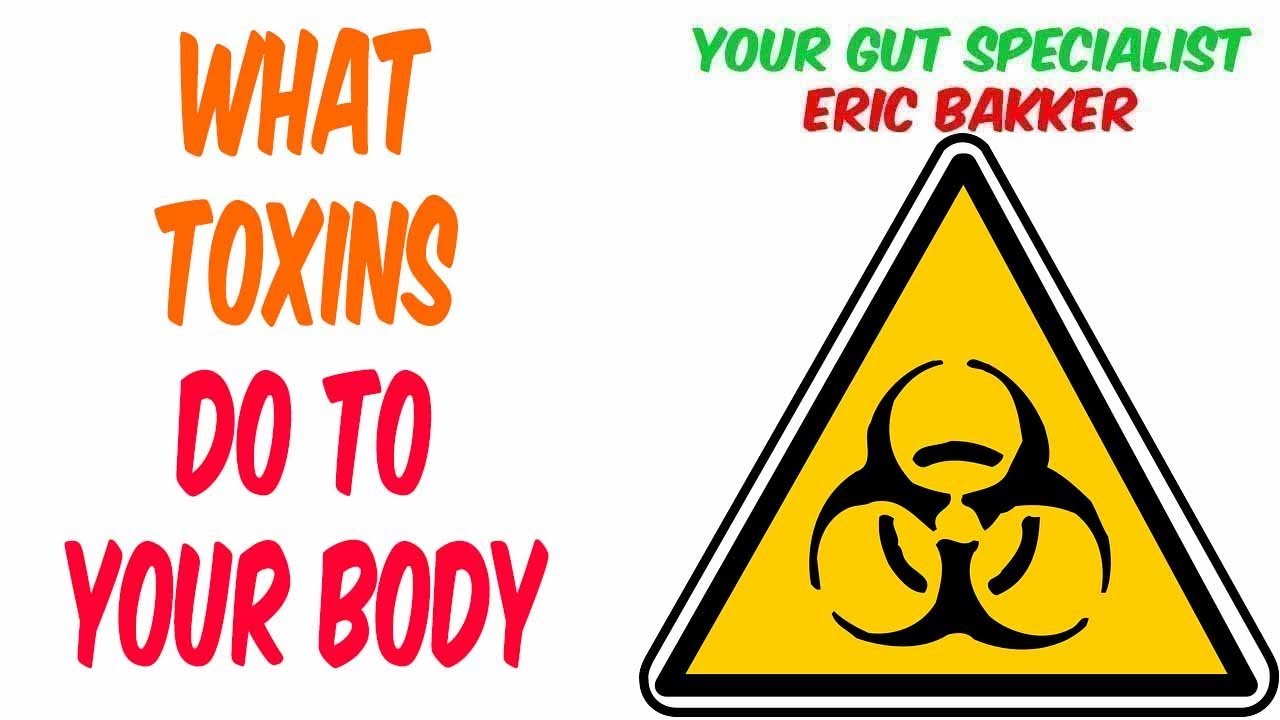 Toxin Overload: What You Need To Do - YeastInfection.Org - Your Source ...