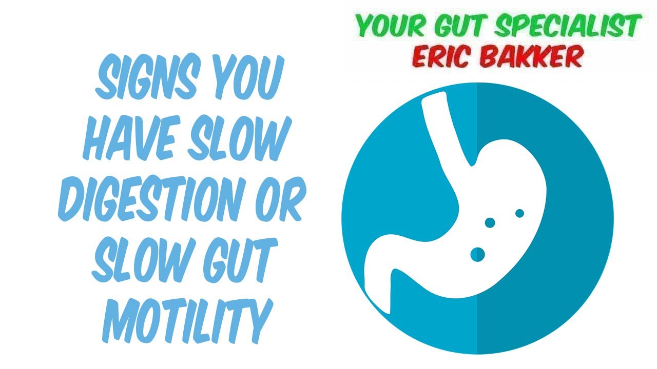 Signs You Have Slow Digestion Or Slow Gut Motility - How To Tell You ...